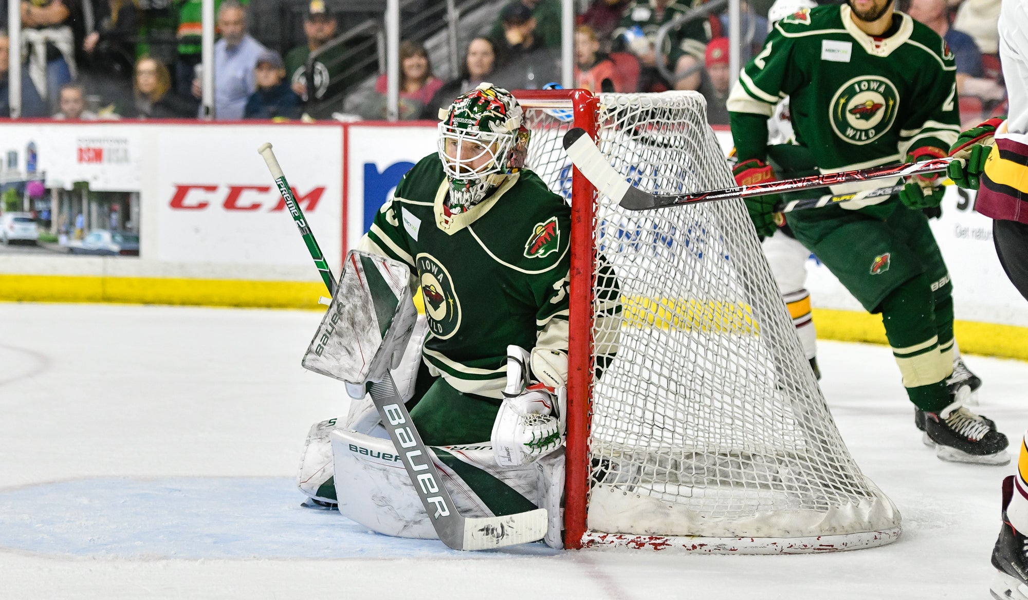 Ticket Packages | Iowa Wild