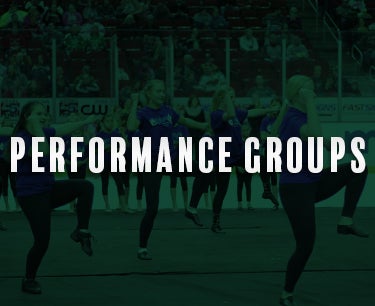 Group Tickets | Iowa Wild